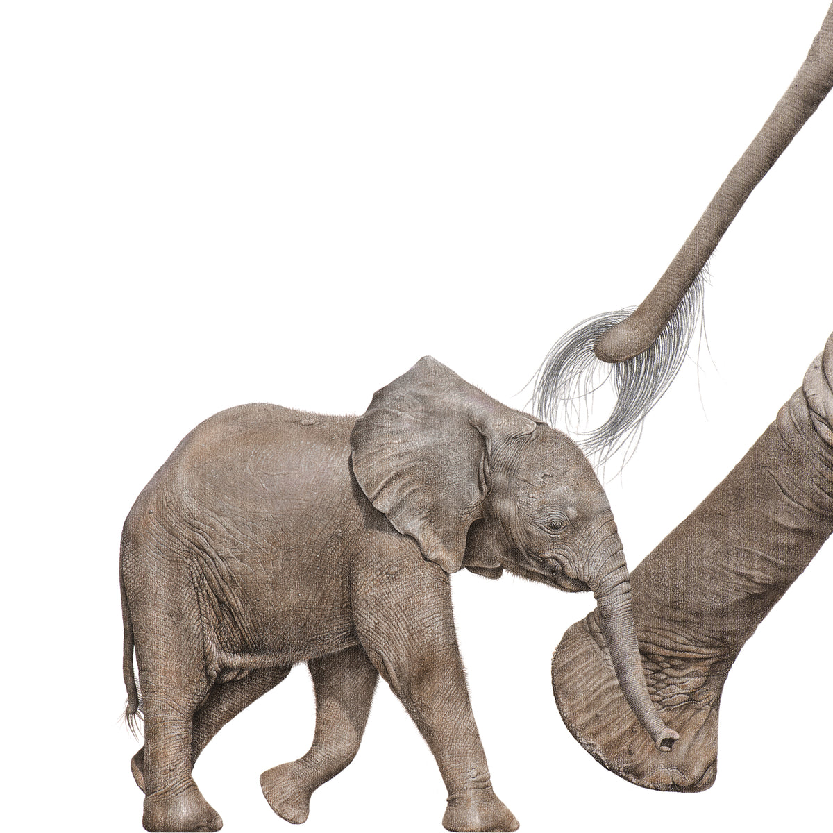 elephant art – Martin Aveling